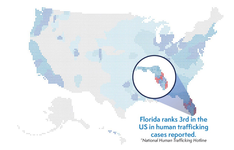 Home [www.floridaallianceendht.com]